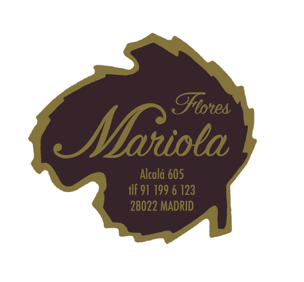 Flores Mariola | antes Flores Nines