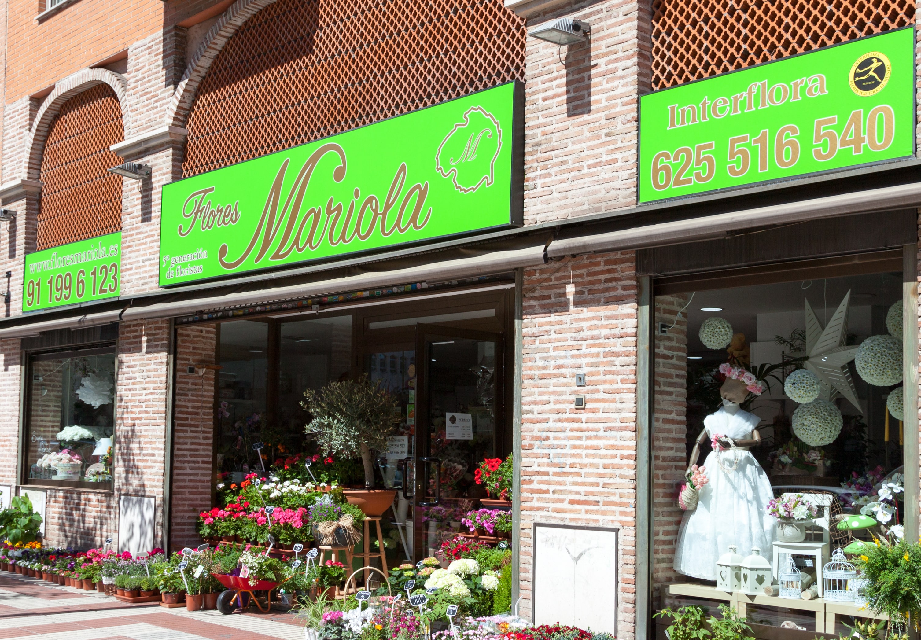 IMG_3072-3 | Flores Mariola